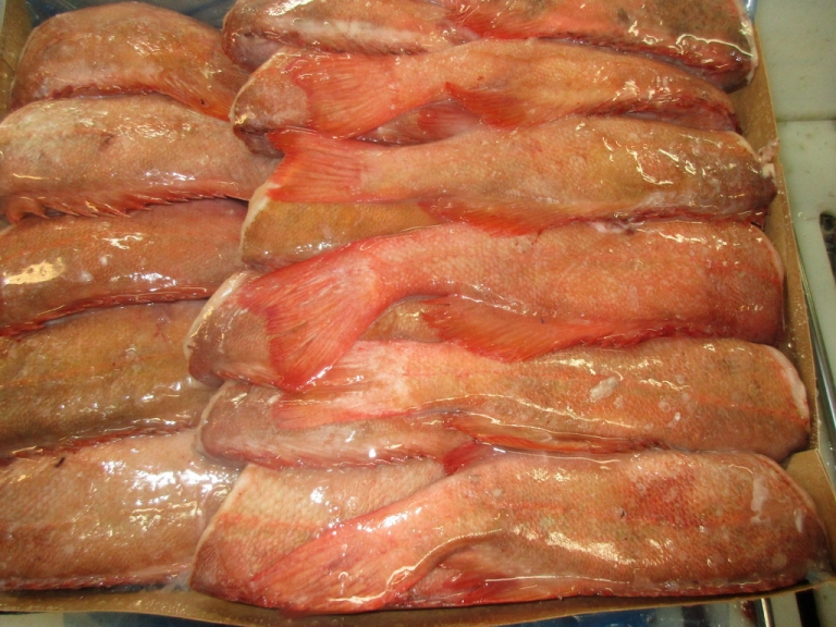 G. Ingason Seafood REDFISH H/G (SEBASTES MARINUS) I CAN OFFER NOW - G ...